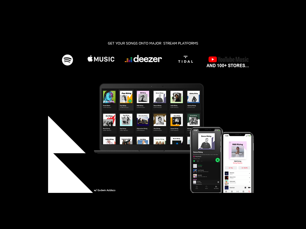 Buy Digital Music Distribution by Godwin Addisco on Selar