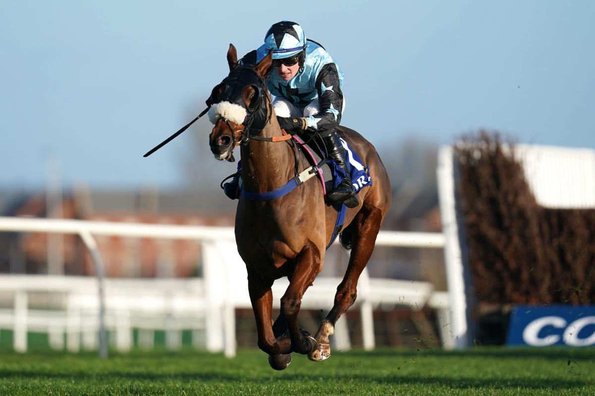 Buy Horse Racing Club by Shelley Wingo on Selar