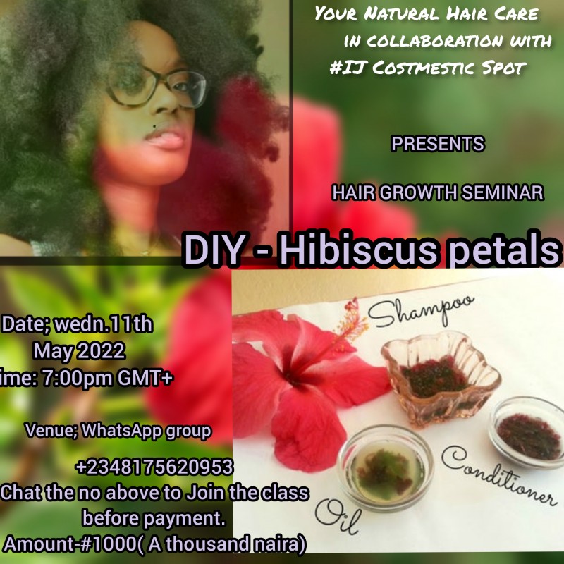 Buy Natural Hair Care Course/ Seminar DIY- ( Growing Healthy Natural ...