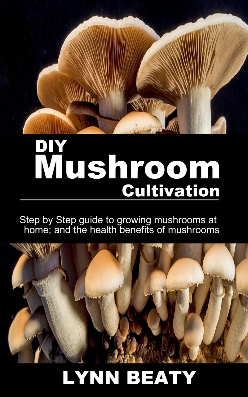 Buy DIY Mushroom Cultivation | Step by Step guide to growing mushrooms ...