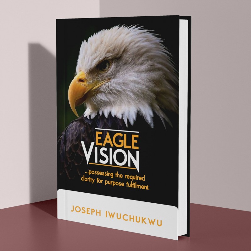 Buy Eagle Vision by Joseph Iwuchukwu on Selar