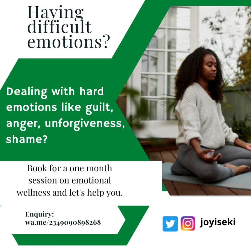 Buy DEALING WITH PROBLEMATIC EMOTIONS COACHING SESSION by Joy Iseki on ...