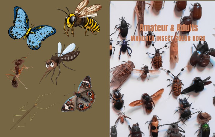 Buy Amateur and adult mandala insect coloring book by Juke manny on Selar