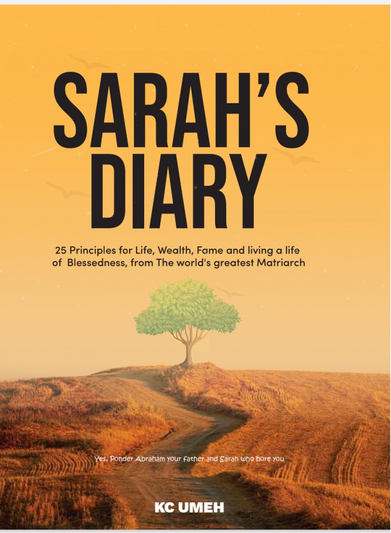 Buy Sarah's Diary: 25 Principles for Life, Wealth, Fame and living a ...