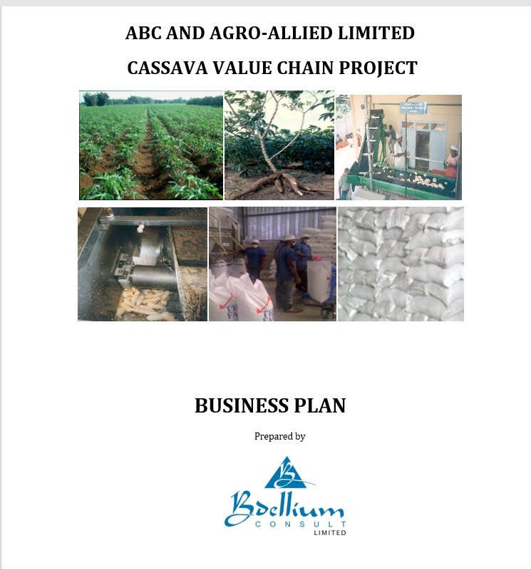 Buy BUSINESS PLAN FOR CASSAVA PROCESSING AND VALUE ADDITION by Laja ...