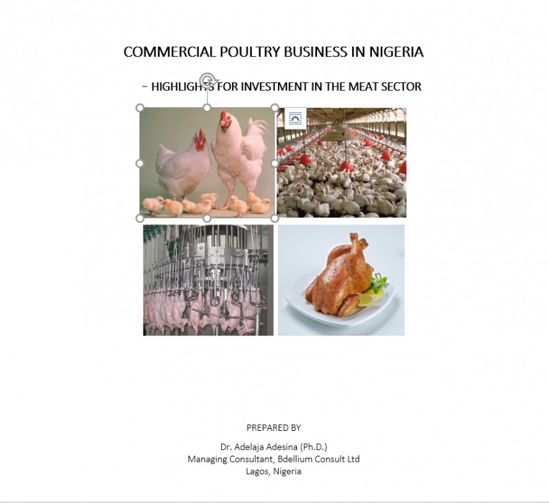Buy COMMERCIAL POULTRY BUSINESS IN NIGERIA by Laja Adesina on Selar