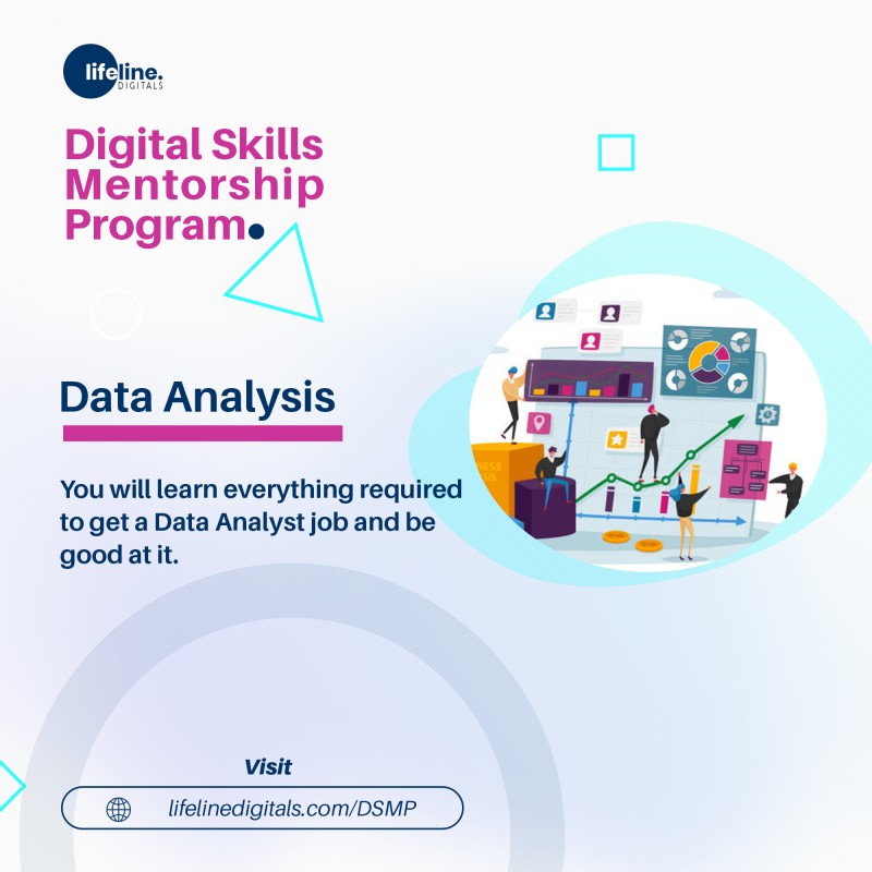 Buy DSMP Data Analytics: The 100% Data Analysis Course (Excel, Tableau, Python, SQL) by Lifeline ...