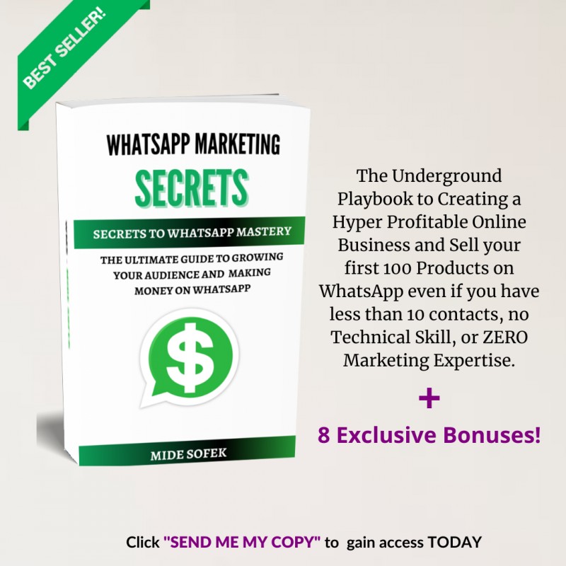 Buy WhatsApp Marketing Secrets by Mide Sofek on Selar