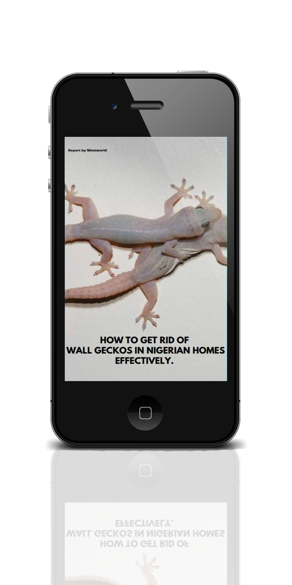 Buy HOW TO GET RID OF WALL GECKOS IN NIGERIAN HOMES EFFECTIVELY. by MimiworldShop on Selar