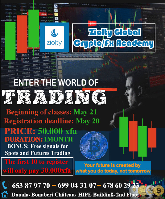 Buy ZIOLTY CRYPTO/FX ACADEMY by Ziolty Global Crypto Academy on Selar