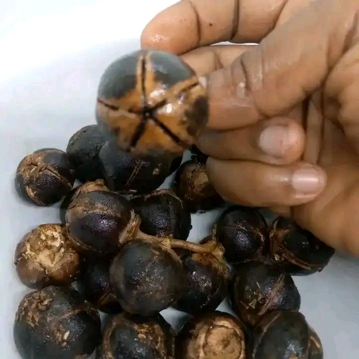 Buy Gorontula fruits by Ni'imatullahi Abubakar on Selar