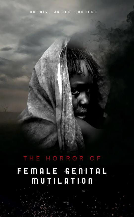 Buy THE HORROR OF FEMALE GENITAL MUTILATION by Odubia James Success on ...