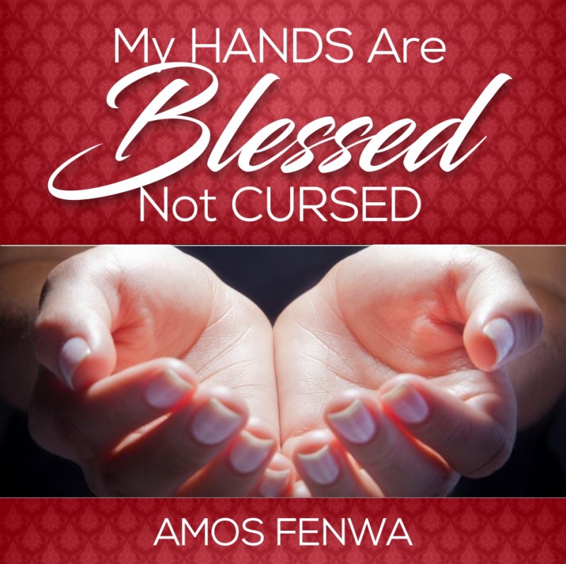 Buy MY HANDS ARE BLESSED NOT CURSED by Amos Fenwa on Selar