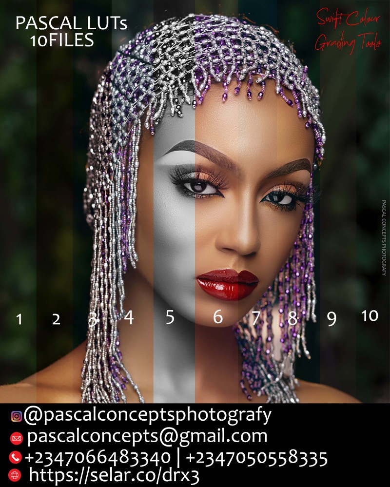 Buy COLOUR GRADE WITH THIS LUT FILE by PASCAL CONCEPTS PHOTOGRAPHY on Selar