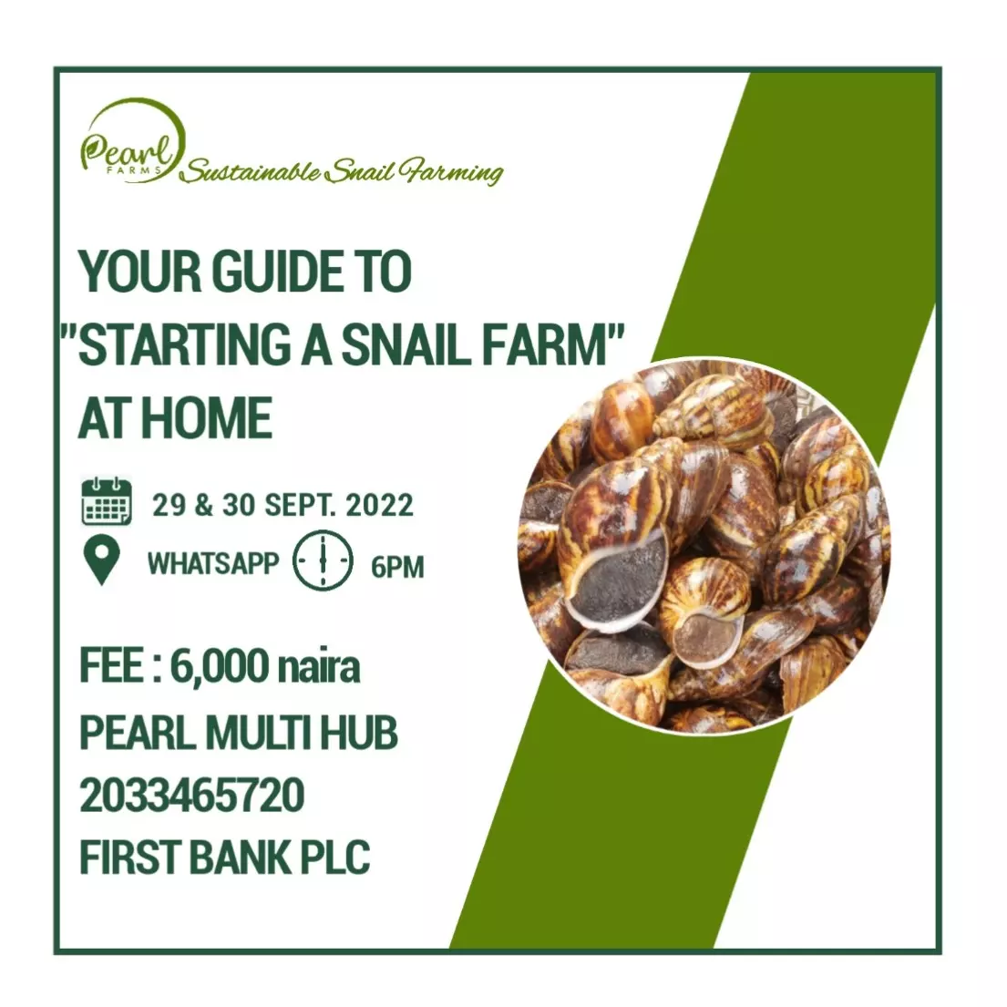 Buy GUIDE TO STARTING A SNAIL FARM AT HOME by PEARL FARMS on Selar