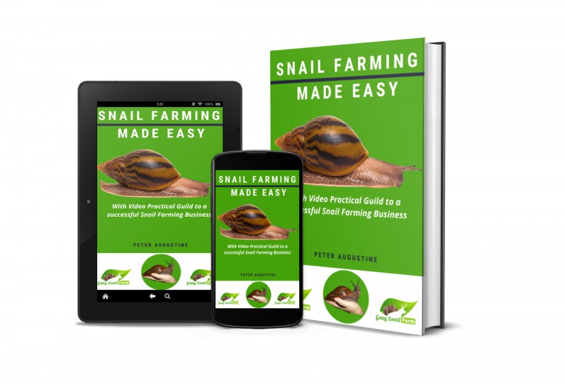 Buy SNAIL FARMING MADE EASY by Gozy Farms on Selar