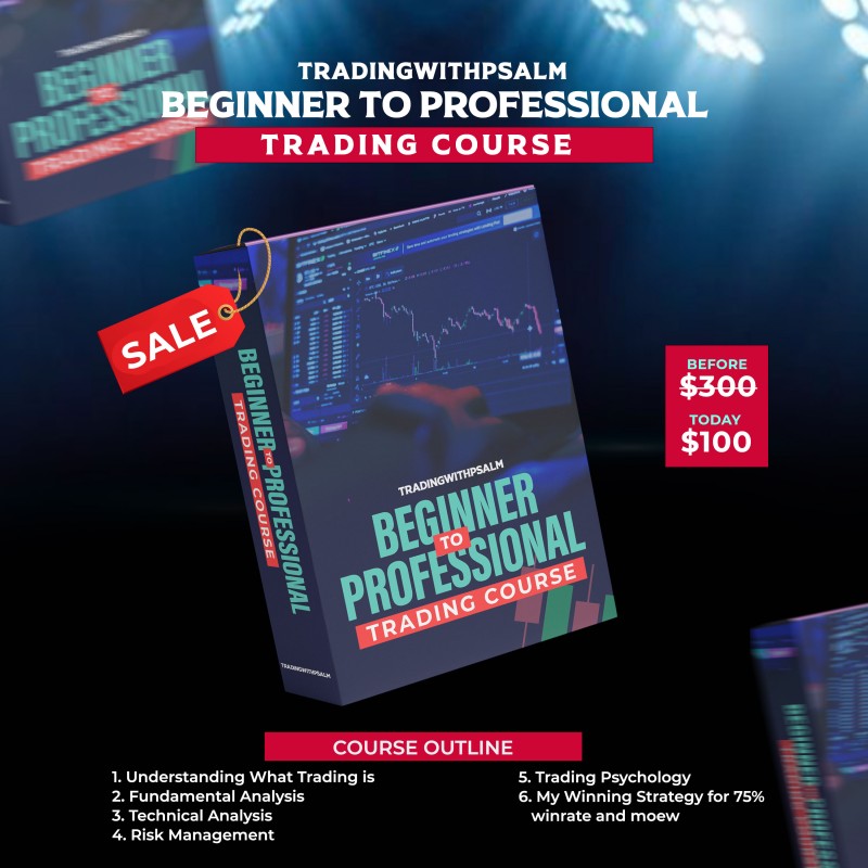 Buy Beginner to Professional Trading Course by Psalmuel Chukwudi on Selar