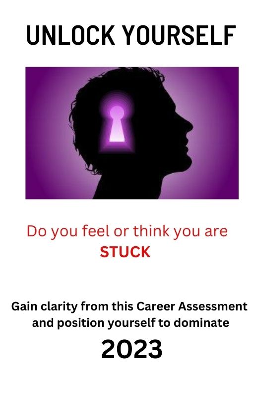 Buy Career Personality Assessment by SabipediaBookHouse on Selar