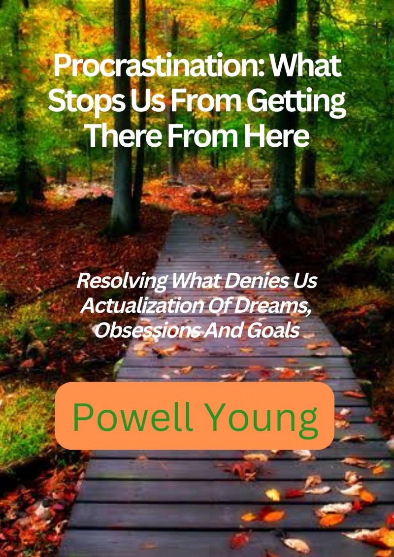 Buy PROCRASTINATION: WHAT STOPS US FROM GETTING THERE T FROM HERE by ...