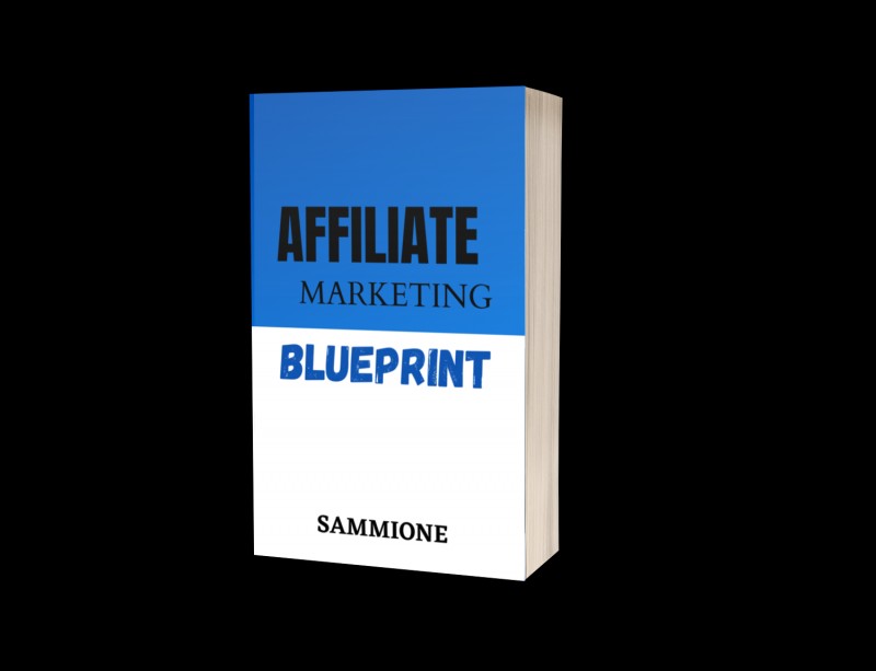 Buy AFFILIATE MARKETING BLUEPRINT by Samuel Omolaiye on Selar