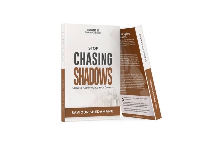 Get STOP CHASING SHADOWS by Saviour Shedamang on Selar