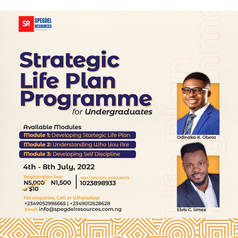 Buy STRATEGIC LIFE PLAN & MENTORING PROGRRAMME by SPEGDEL RESOURCES on ...