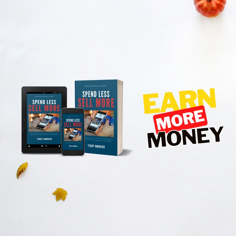 Buy Spend Less Sell More by Terry Omodibo on Selar