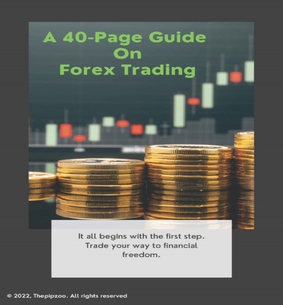 Buy A 40 Page Guide on Forex Trading by the pipzoo on Selar