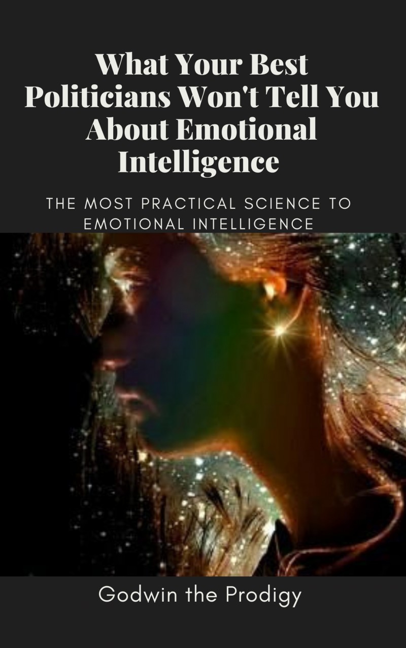 Buy The Most Practical Guide on Emotional Intelligence by Okoye Chinedu ...