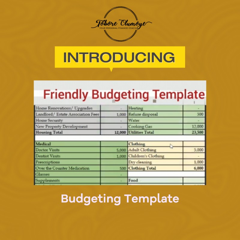 Buy Budgeting Template by Tobore Olumoye on Selar