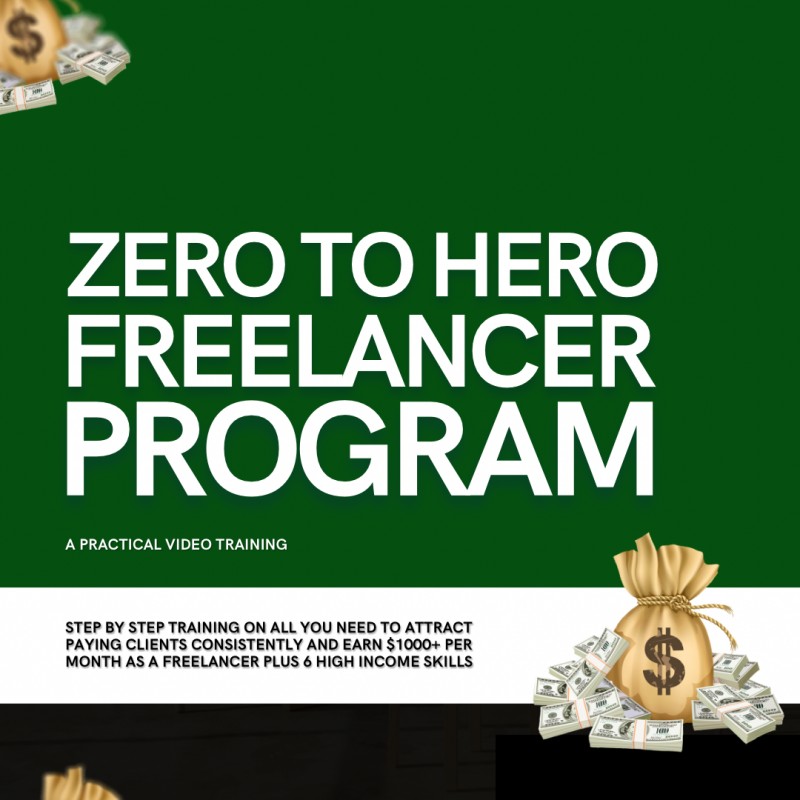 Buy Zero To Hero Freelancer by Tuki on Selar