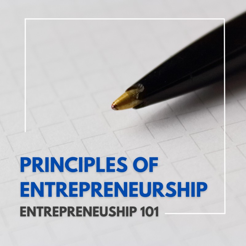 Buy Principles of Entrepreneurship (Video) by Uche Onochie on Selar