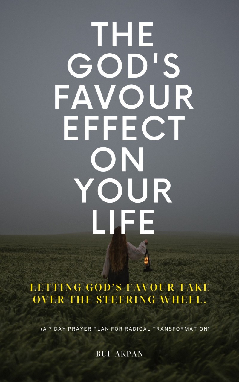 Buy THE GOD'S FAVOUR EFFECT ON YOUR LIFE by Uduak Akpan on Selar