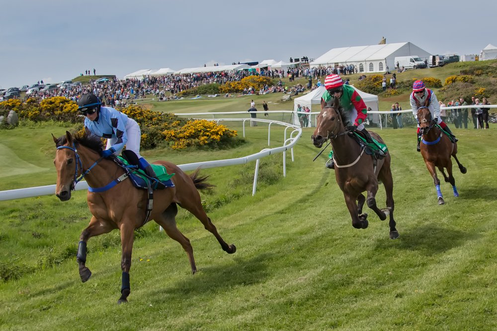 Buy Horse Racing Club by valerie todd on Selar