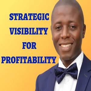 Buy Strategic Visibility for Profitability by Abayomi Moses Olusanu on ...