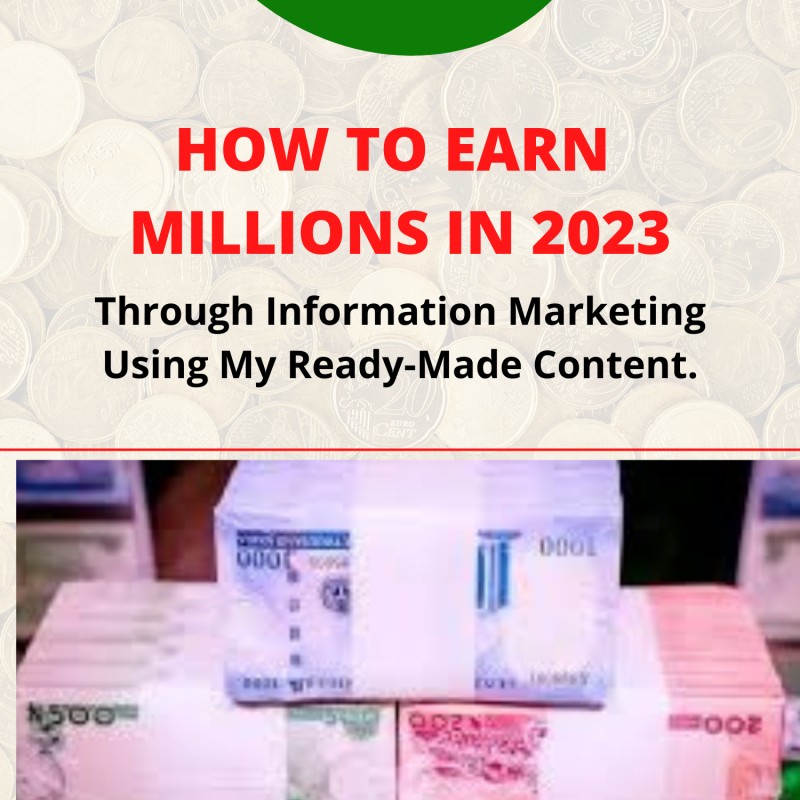 Buy How to Earn Millions in 2023 Through Information Marketing Using My ...