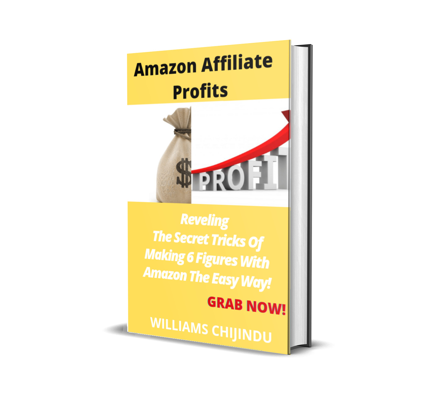 Buy Amazon Affiliate Profit by Williams Chijindu on Selar