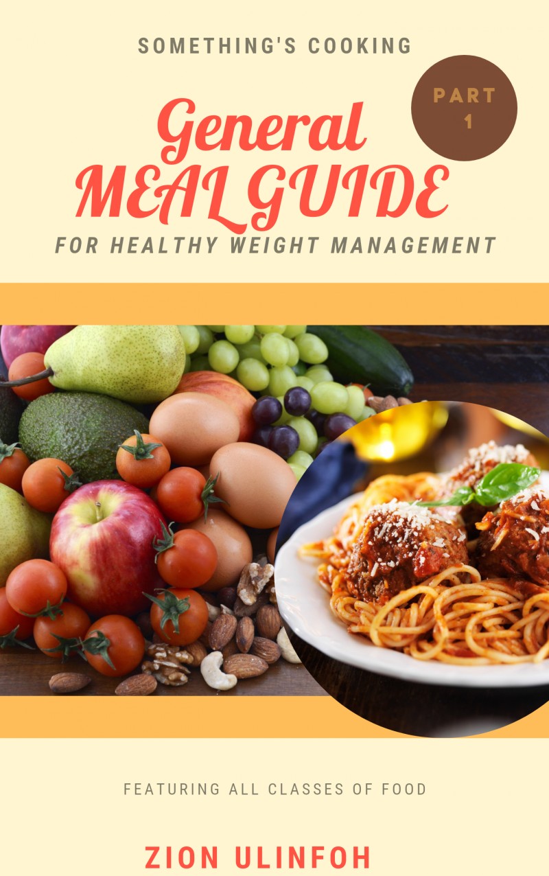 Buy GENERAL MEAL GUIDE by Zion Ulinfoh on Selar
