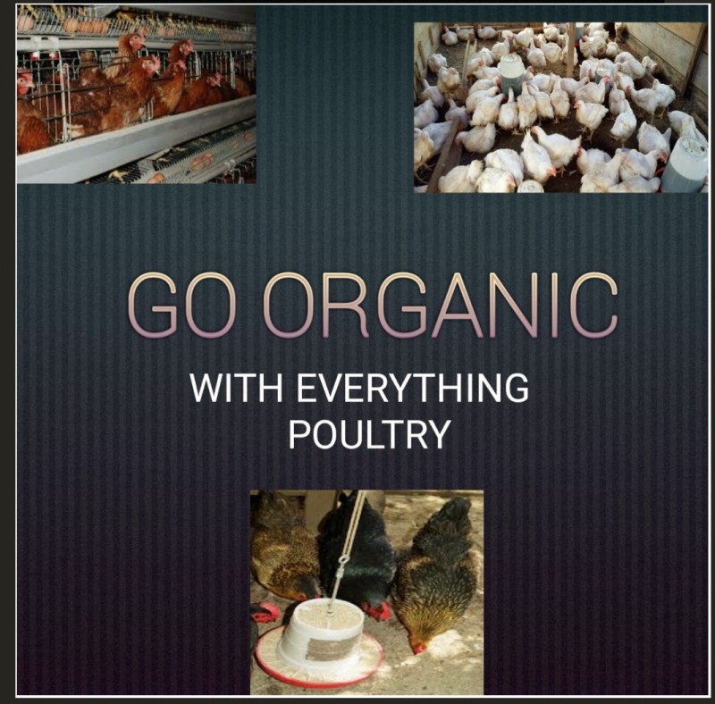 Buy Go organic with everything poultry by Tangwa Elvis Ngwa on Selar