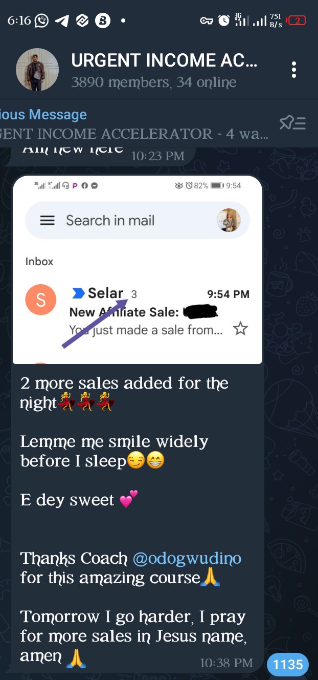 Buy DAILY INCOME AFFILIATE PROGRAM VOL.2 by Oluwayemi wonderful on Selar