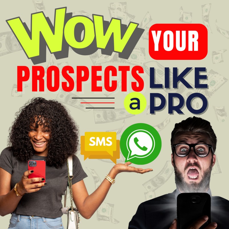 Buy Wow Your Prospects Like a Pro by Profit Leverage on Selar