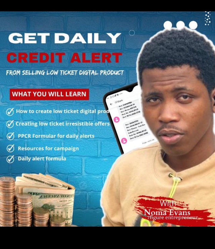 Buy Digital low ticket product by on Selar