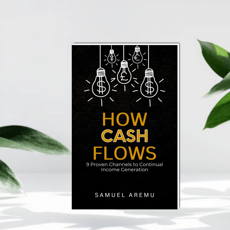 Buy How Cash Flows by Aremu Samuel on Selar