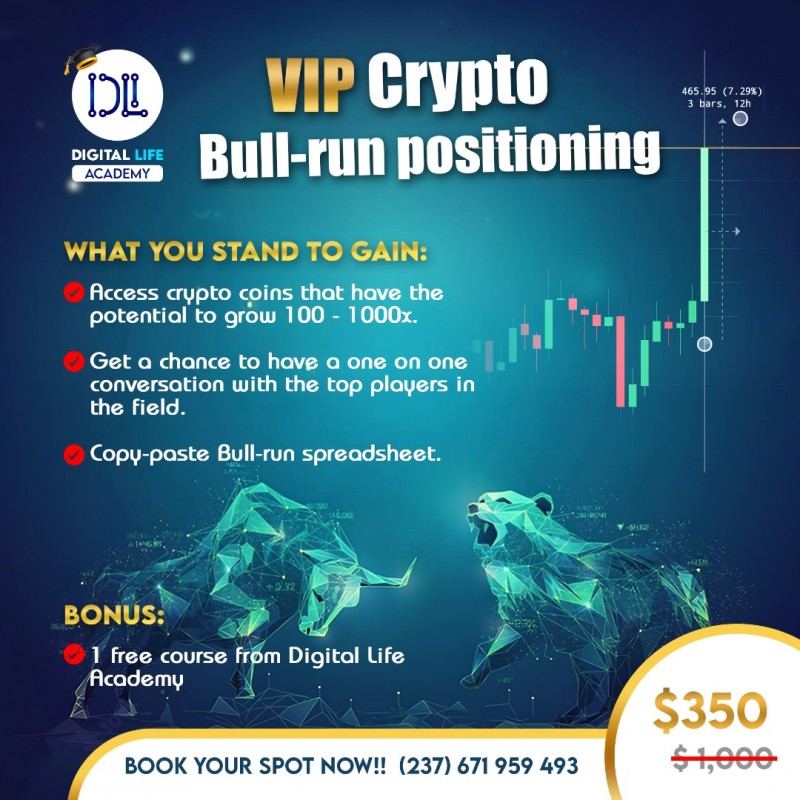 Buy VIP BULLRUN POSITIONING by Digital life prince 🤴 on Selar