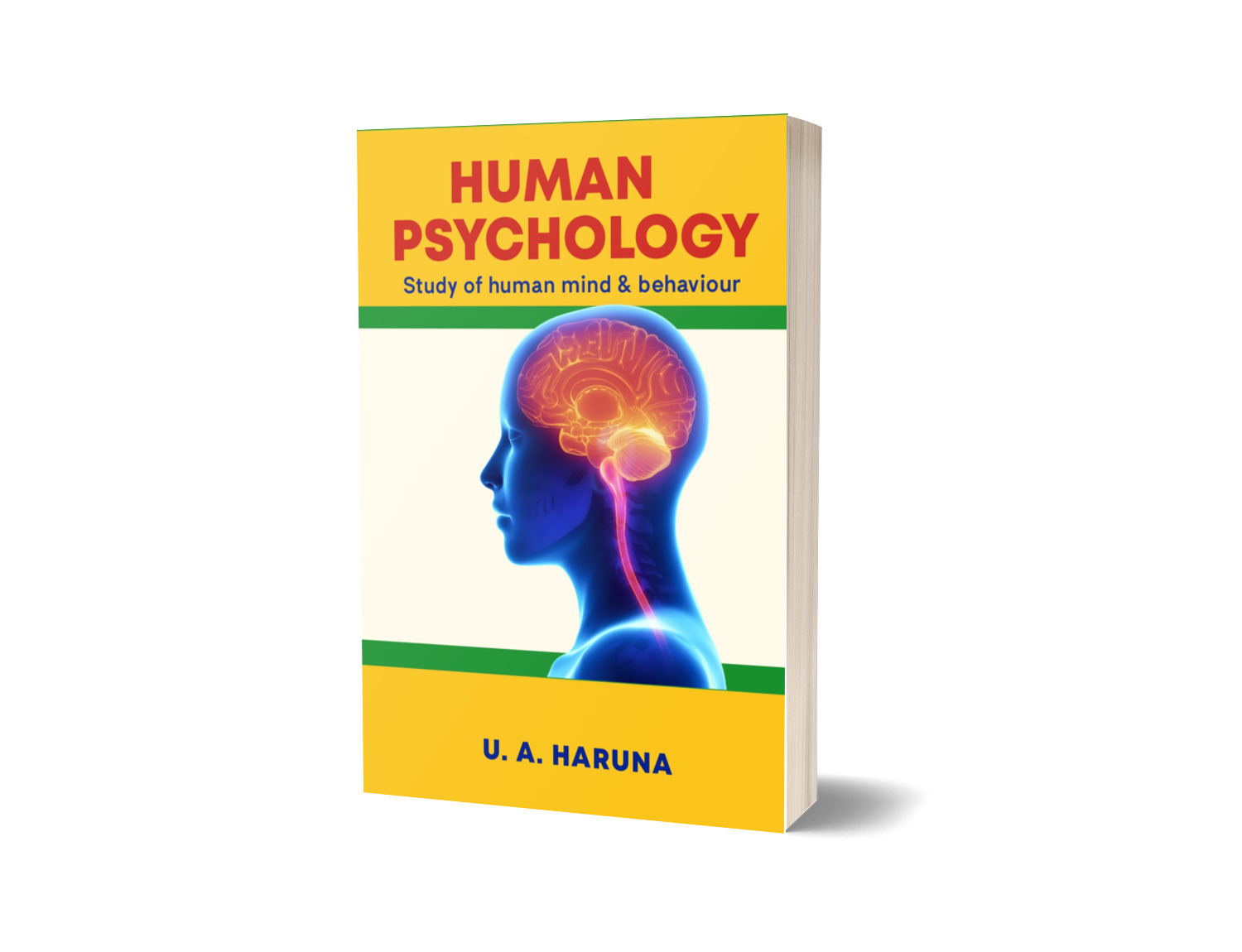 Buy E book by Usman Ahmadu Haruna on Selar