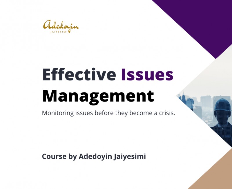 Buy Effective Issues Management Course by Adedoyin Jaiyesimi on Selar