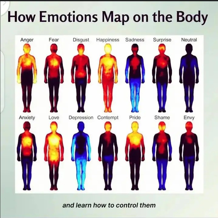 Buy Emotion map on the body by Ugwu Chinonso Adolphus on Selar