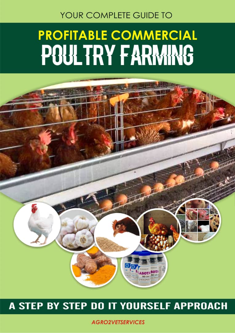 Buy PROFITABLE COMMERCIAL POULTRY FARMING GUIDE by ADENIRAN CHARLES ...