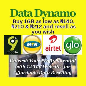 Buy Data Dynamo by AA Digitals on Selar