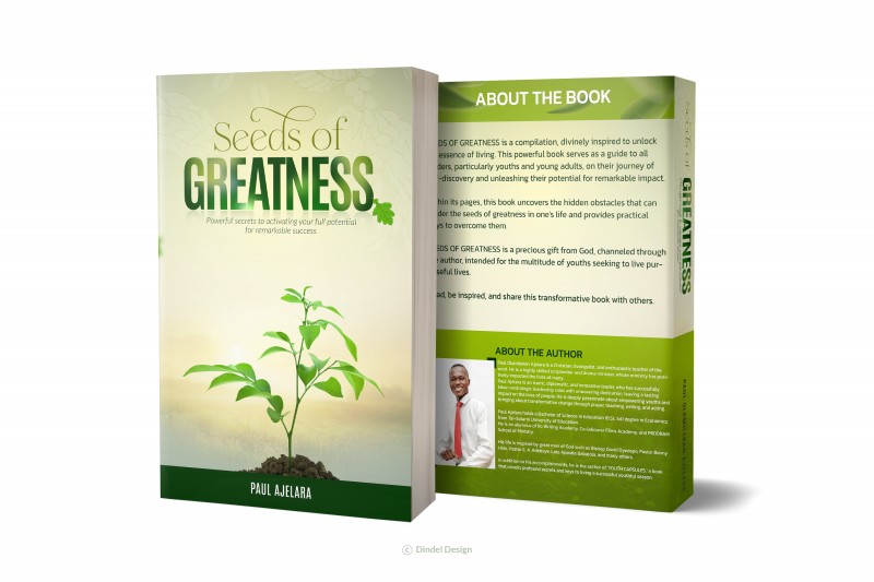 Buy SEEDS OF GREATNESS by Abdullateef rasaq on Selar.co